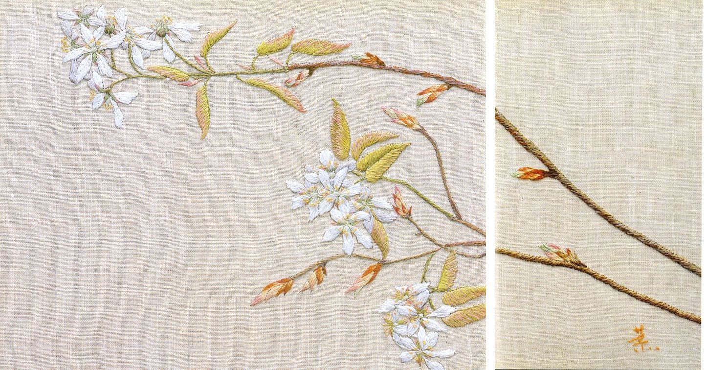 采振木 ザイフリボク Asian serviceberry, Shadberry